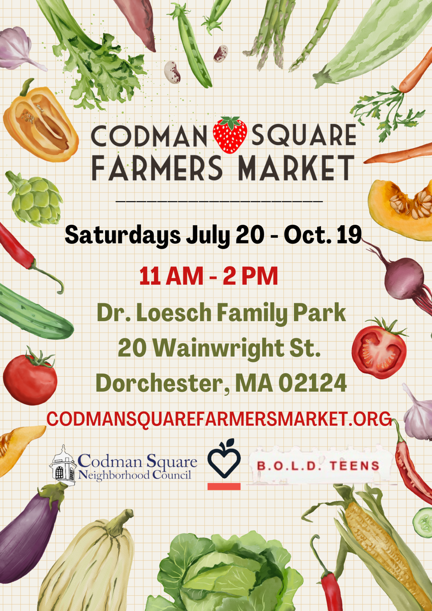 Codman Square Neighborhood Council – Improving the quality of life in ...