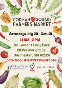 Codman Square Neighborhood Council – Improving the quality of life in ...